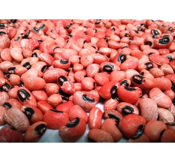 Semilla de Frijol Caupi x 1kg | Croper