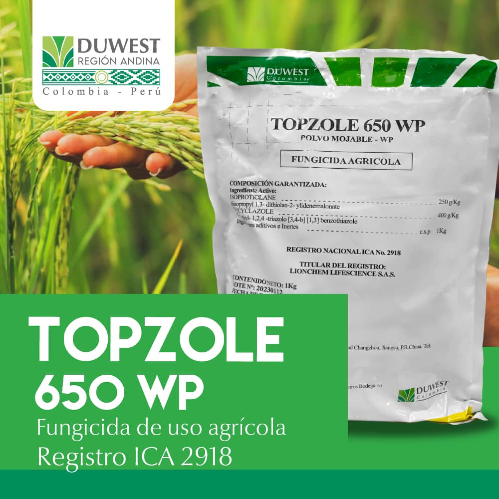 Fungicida Topzole x 1 Kg | Croper
