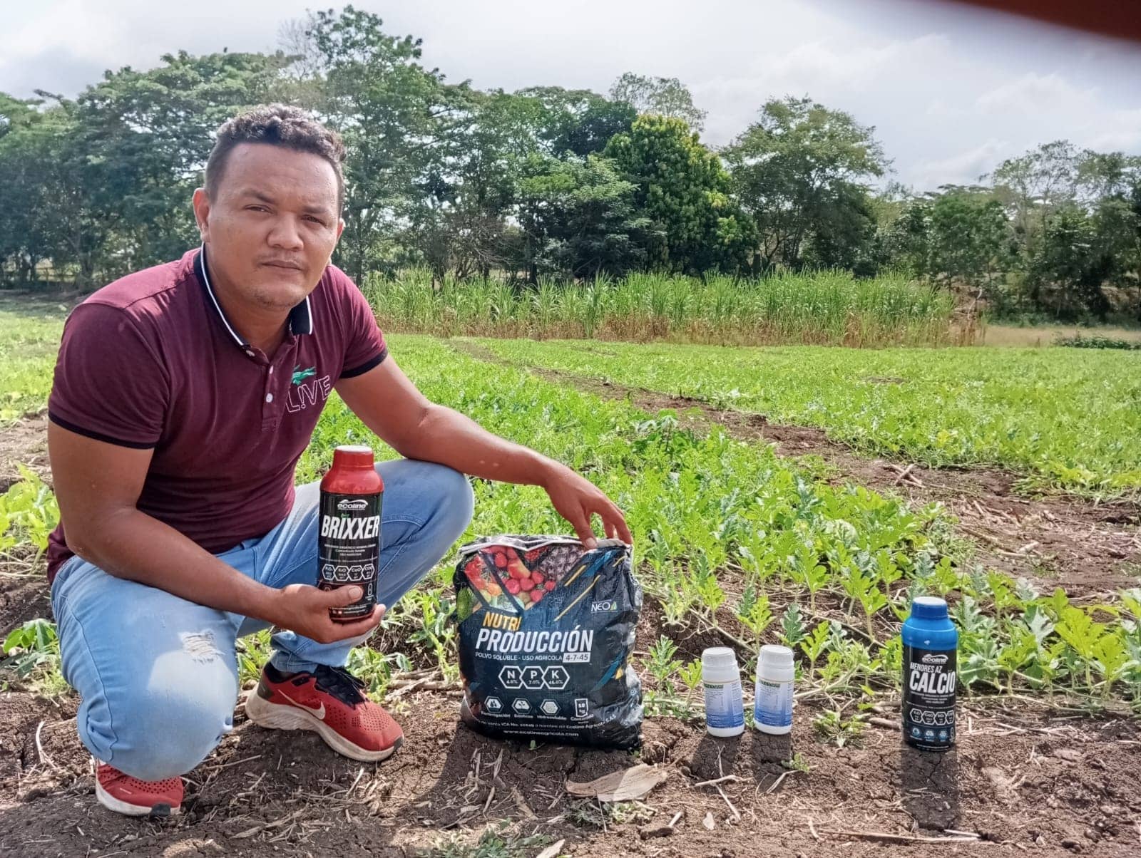 JORGE SARMIENTO ARROYO | Croper