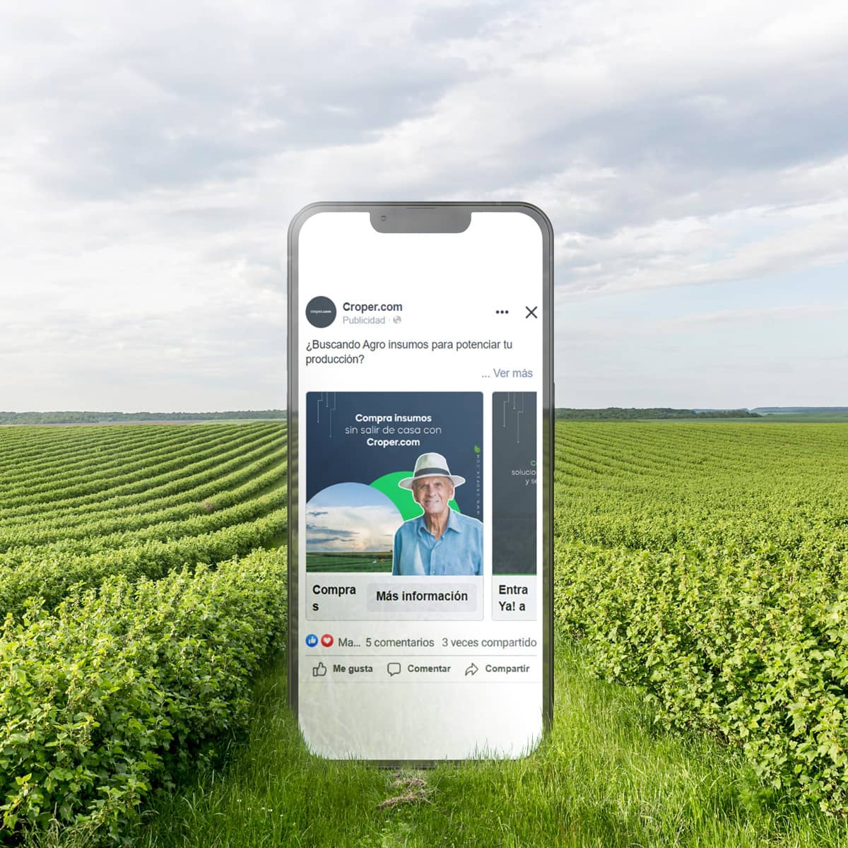 Pauta Digital / mes | Croper