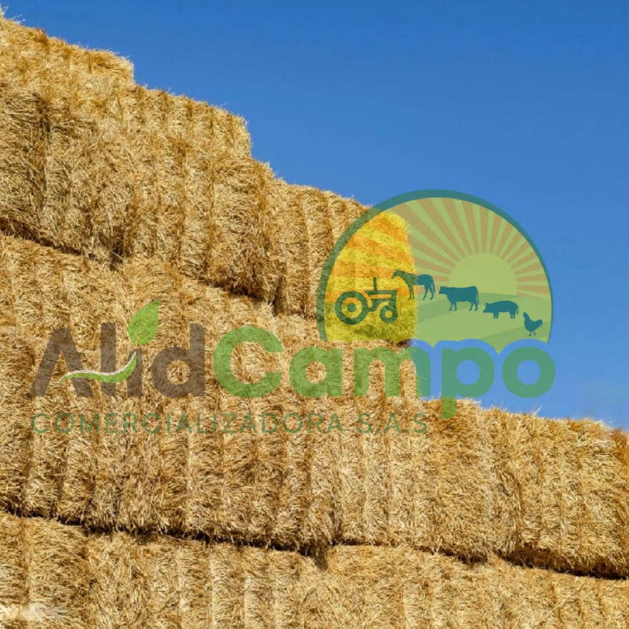 Pacas de Heno | Croper