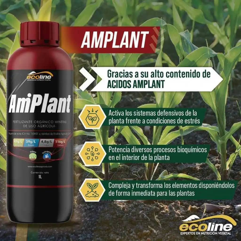 Fertilizante orgánico, mineral AMPLANT de uso agrícola. | Croper