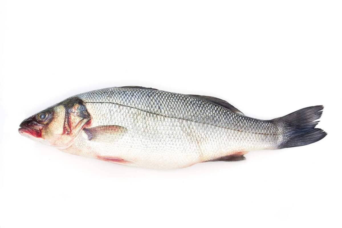 Pescado Blanquillo x Kg | Croper