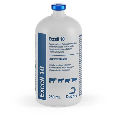 Vacuna Excell 10 x 250 ml - Dechra | Croper