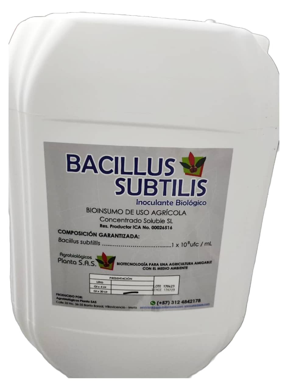 Bacillus subtilis 4 Lt - Control Biológico Eficaz contra Plagas y ...