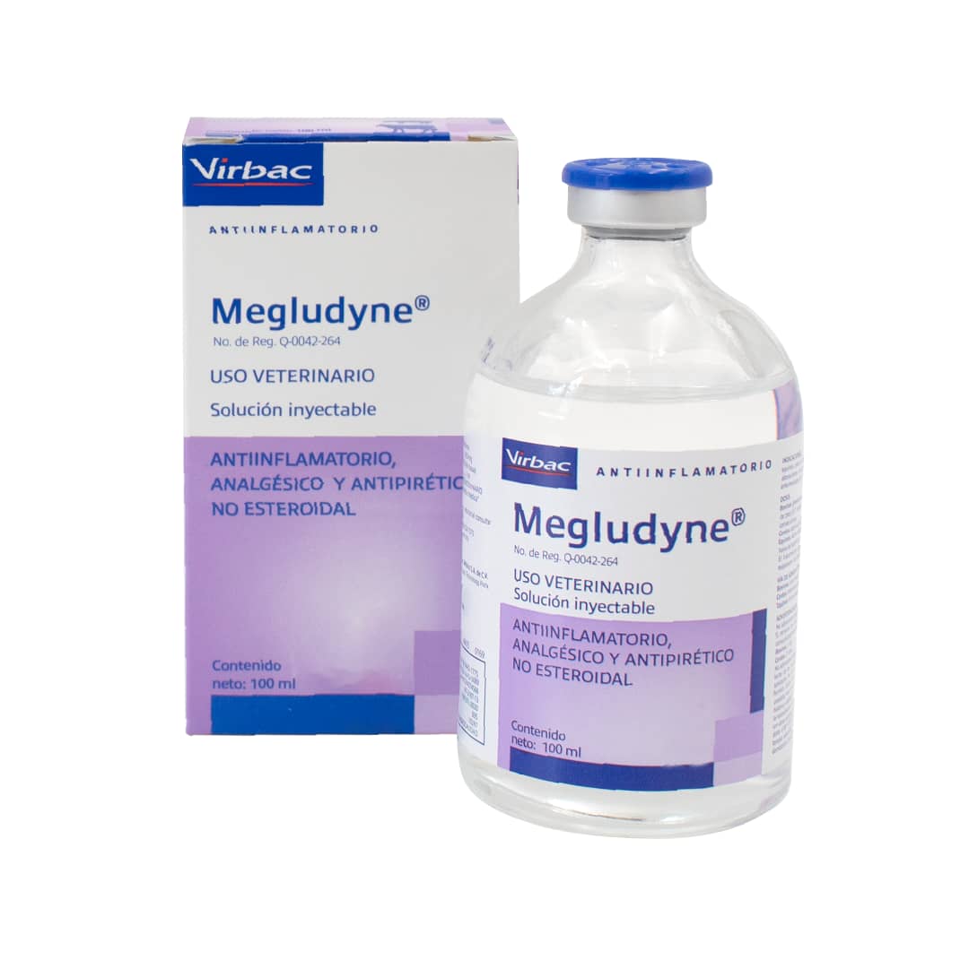 Antiinflamatorio Megludyne x 250 Ml | Croper