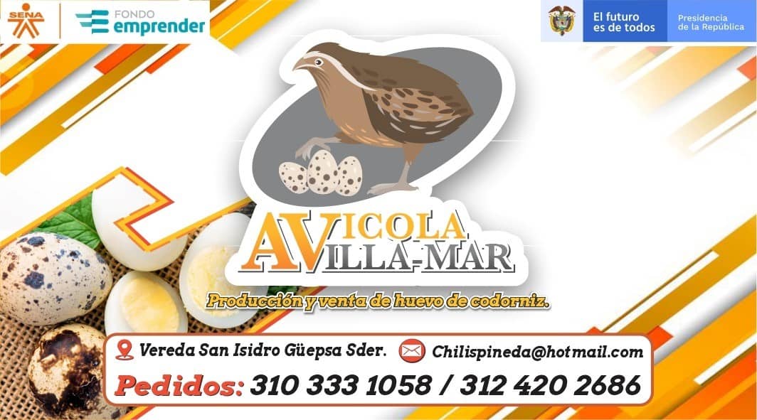 Huevo de Codorniz | Croper