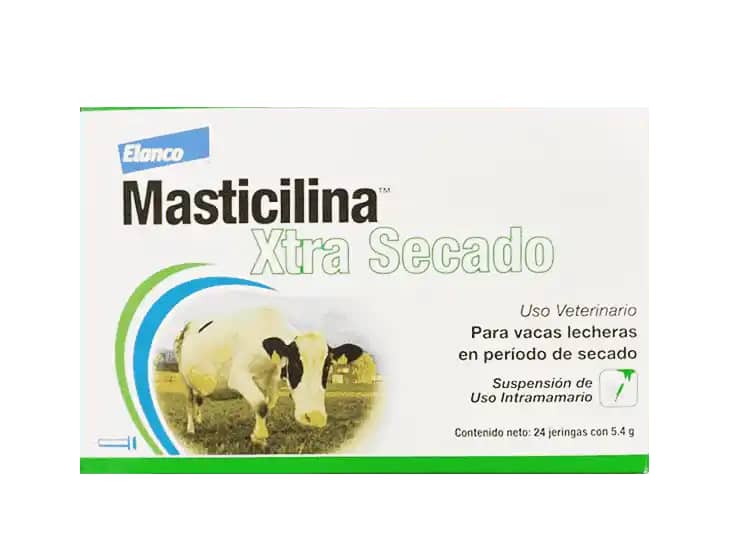 Antibiótico Masticilina Xtra Secado x 24 jeringas | Croper