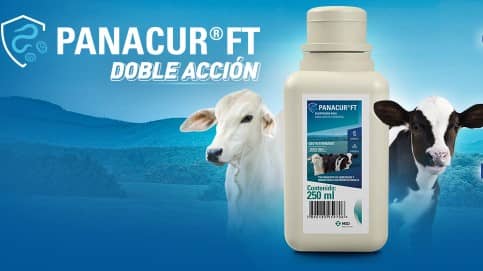 Panacur FT x 250 ml - MSD | Croper