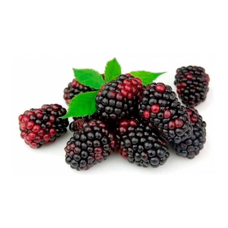 Mora al por mayor | Croper