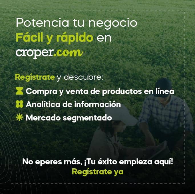 Potencia tu negocio con Croper.com | Croper