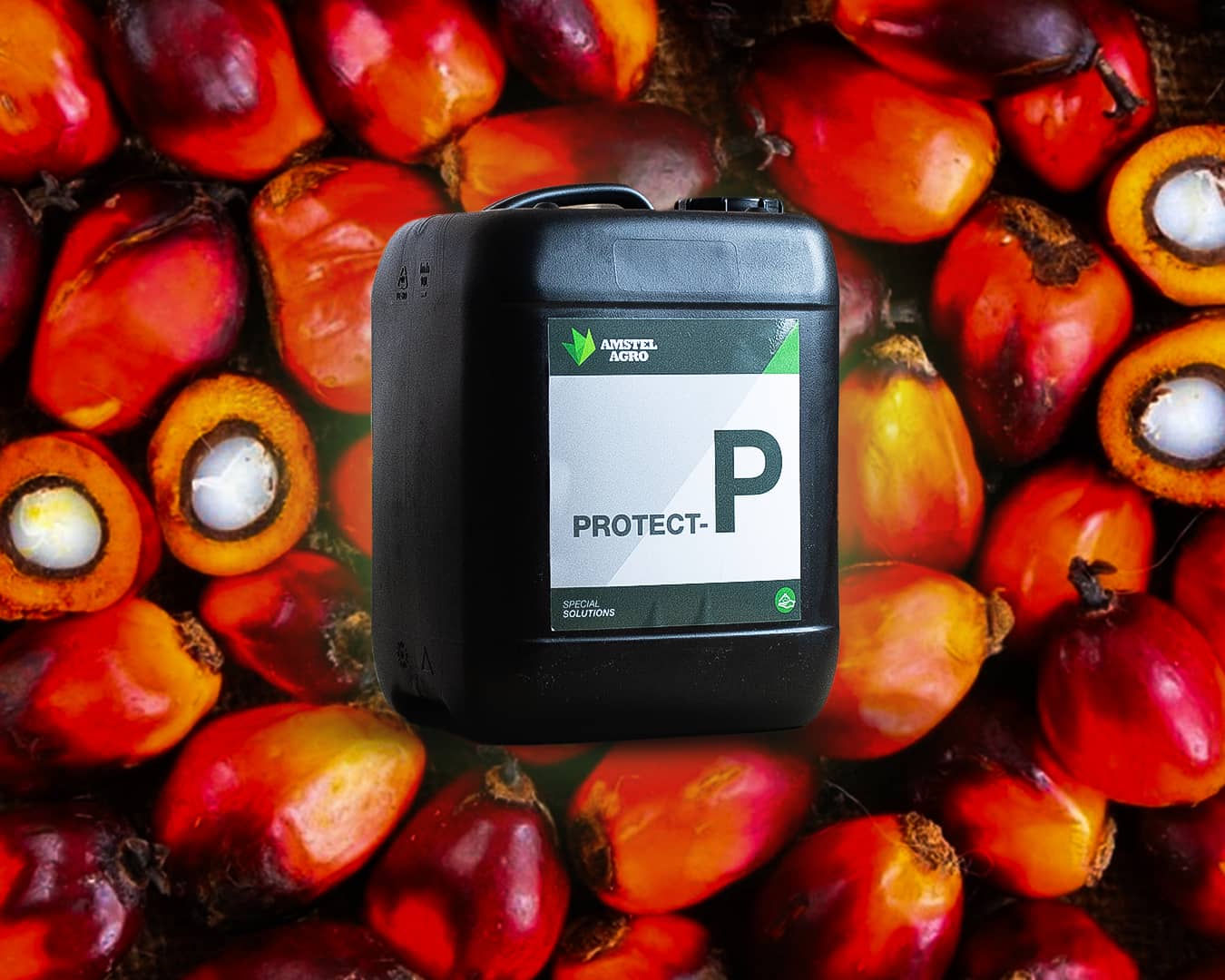 Fertilizante Protect-P x 10 Litros ( Palma) | Croper