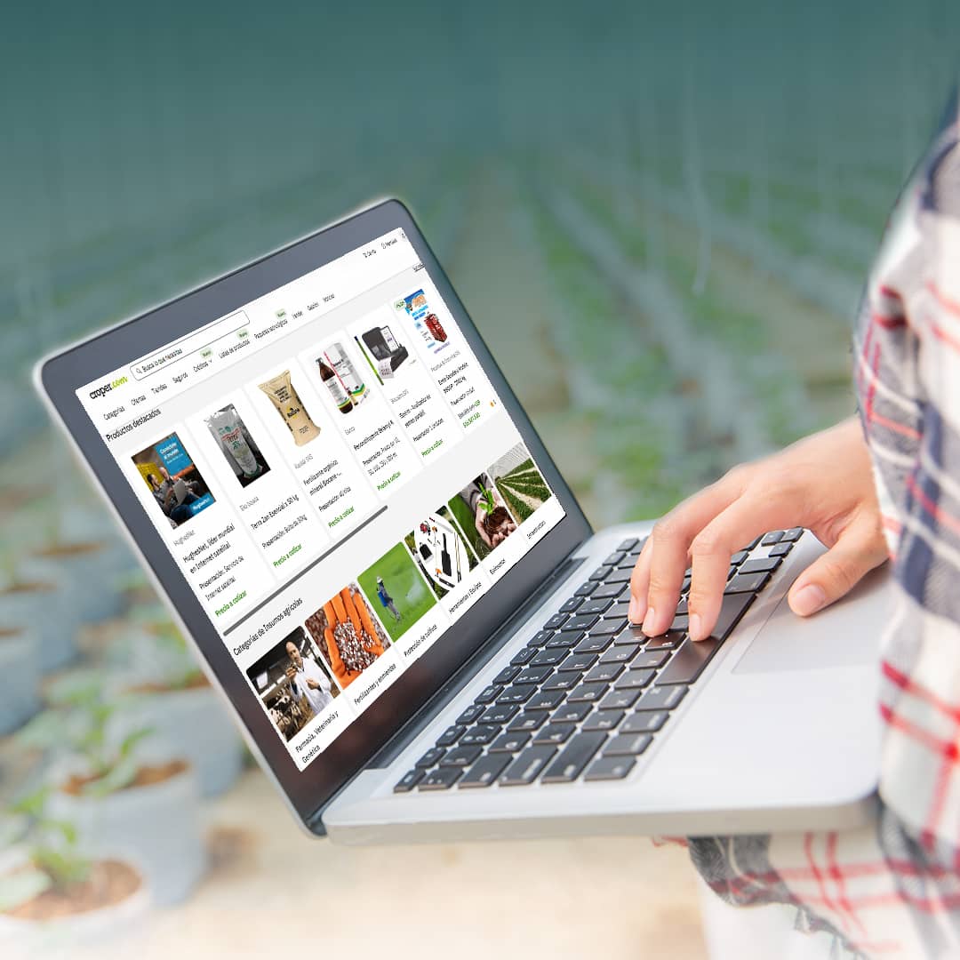 Pauta en Croper | Croper