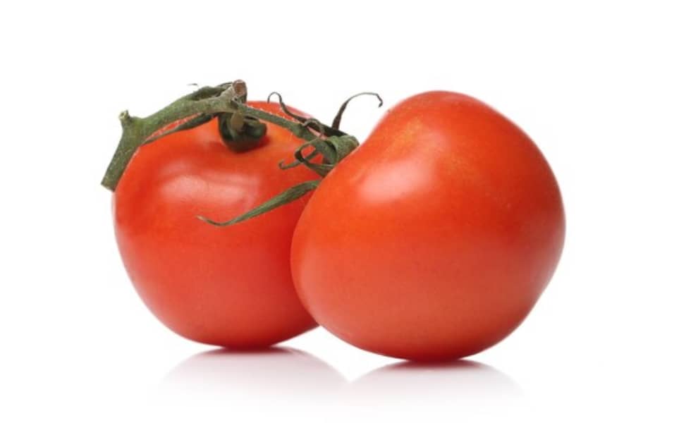 Venta de Tomate de Aliño Al Por Mayor | Croper