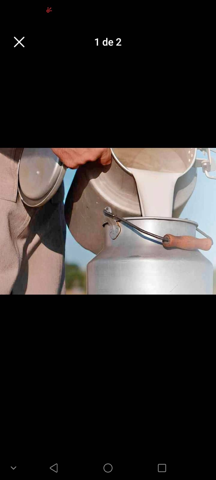 OSCAR ORMAZA | Croper