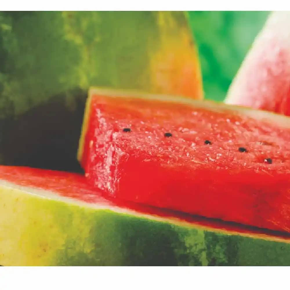 Semilla de Sandia hibrida Kelly F1 | Croper