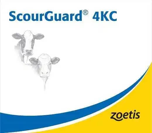 Vacuna Scourguard ® 4kc 20 ml x 10 unidades - Zoetis | Croper