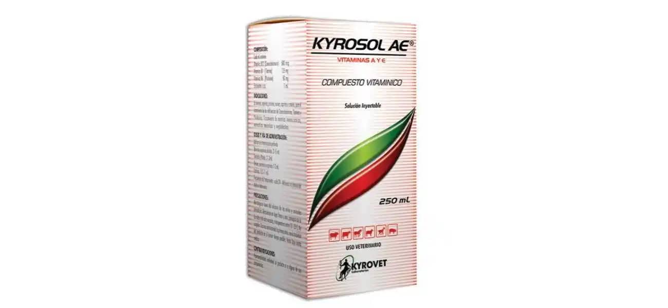 Vitamina Kyrosol A E X 250 Ml | Croper