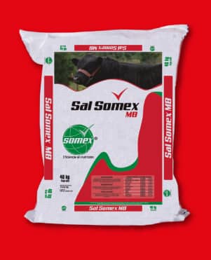 Sal Somex MB x 50 Kg | Croper