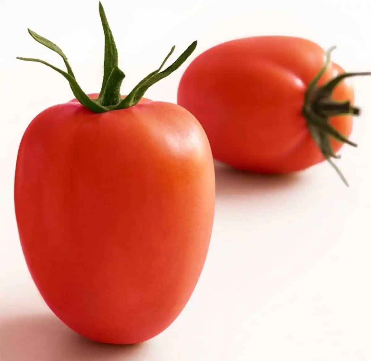 Semilla Tomate Chonto Santa Cruz x 5grs | Croper