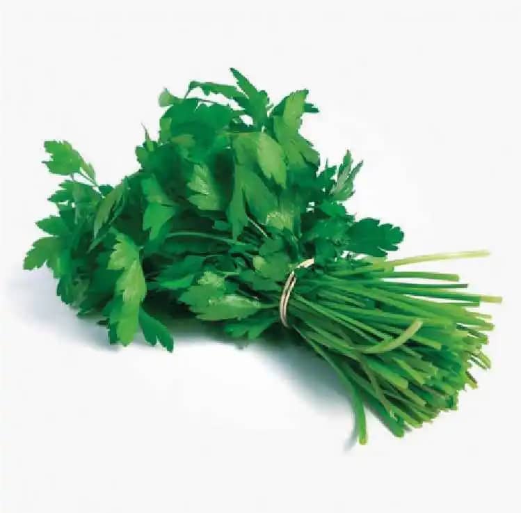 Semilla De Cilantro Verde (Hoja Ancha) x 454 Gr | Croper