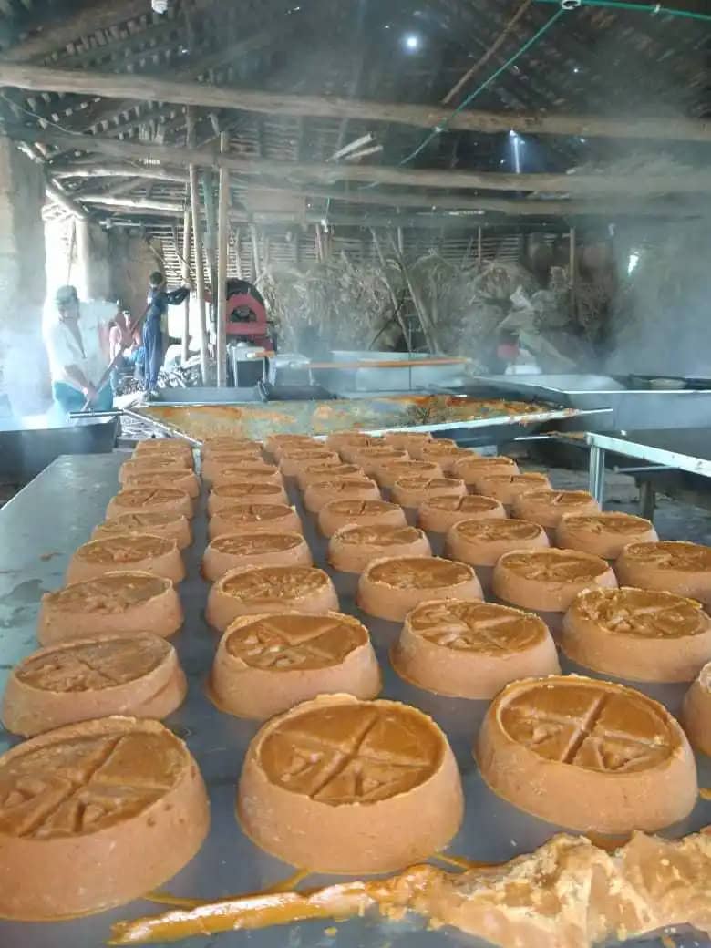 Venta de panela Heber Agudelo X 1 kg | Croper