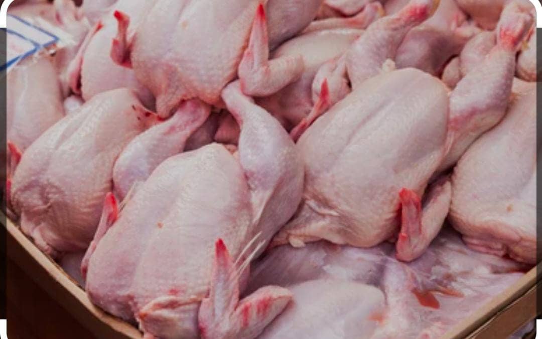 Pollo purino | Croper