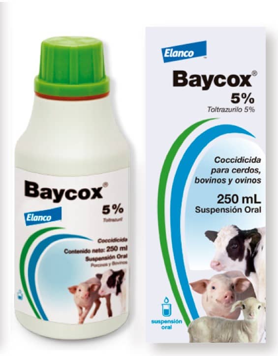 Coccidicida Baycox 5% x 250 Ml - Elanco | Croper