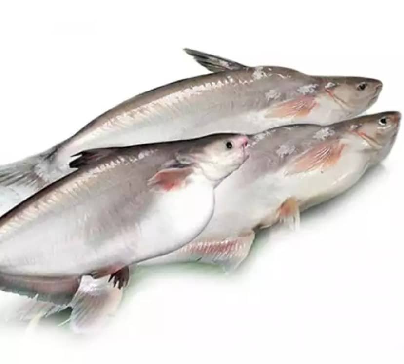 Blanquillo x Kg | Croper