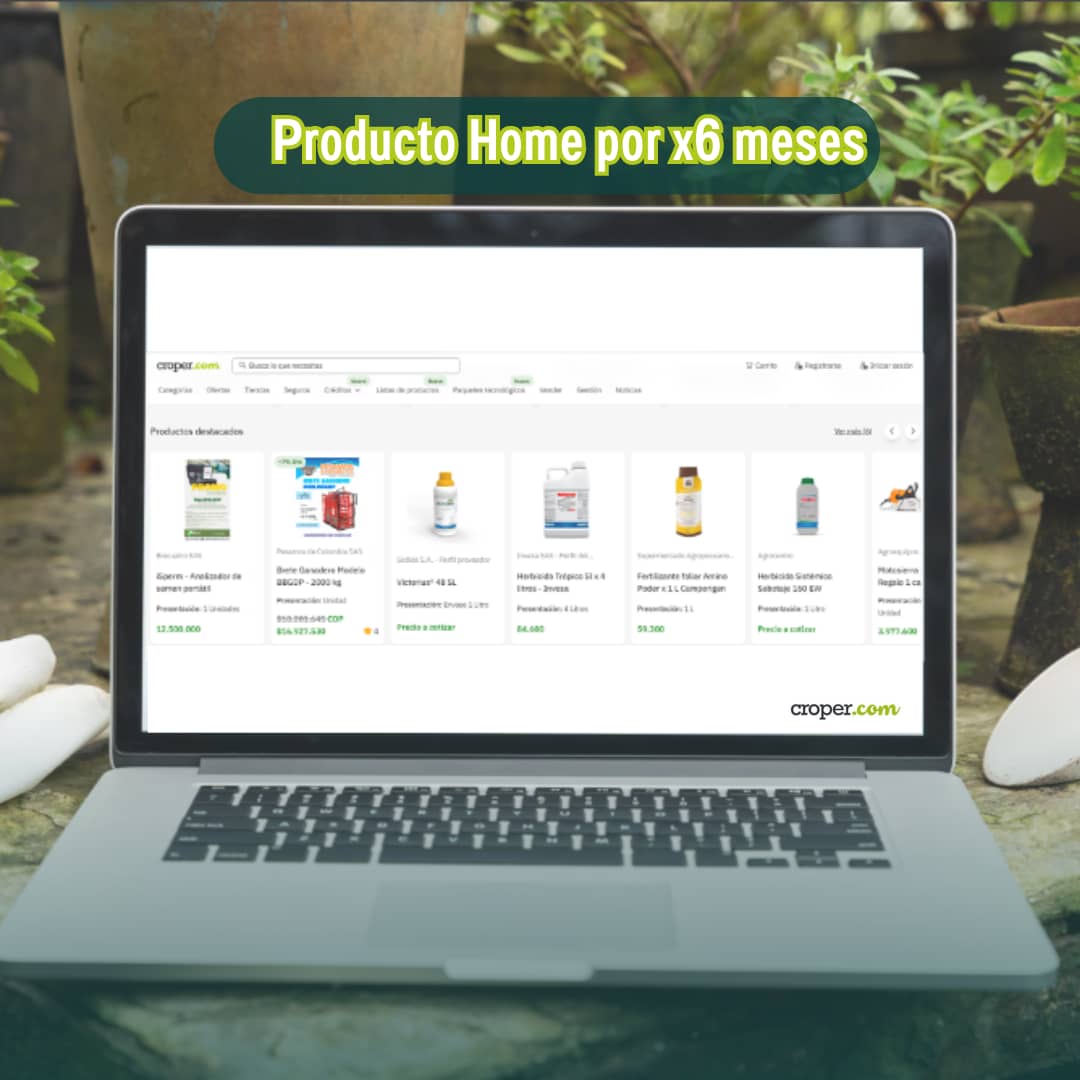 Producto Home x 6 meses | Croper